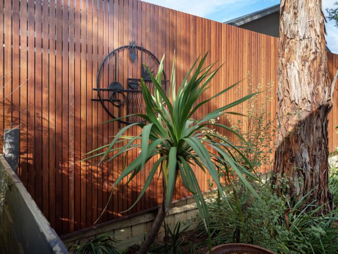 How to Prevent Tannin Bleeding in Merbau Fencing in Melbourne's Rainy ...