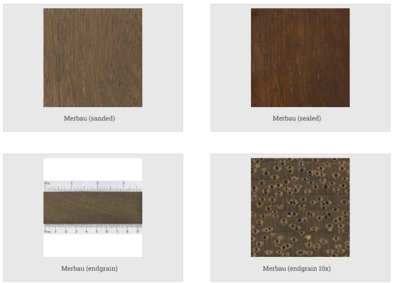 How to Choose Sustainable Merbau Wood for Your Fence - Pentagon