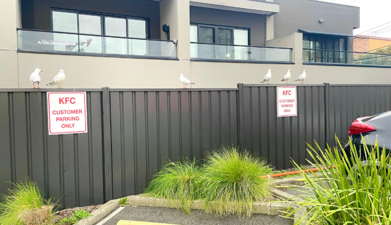 DIY or Hire a Pro? How to Install a Colorbond Fence and Gate System ...