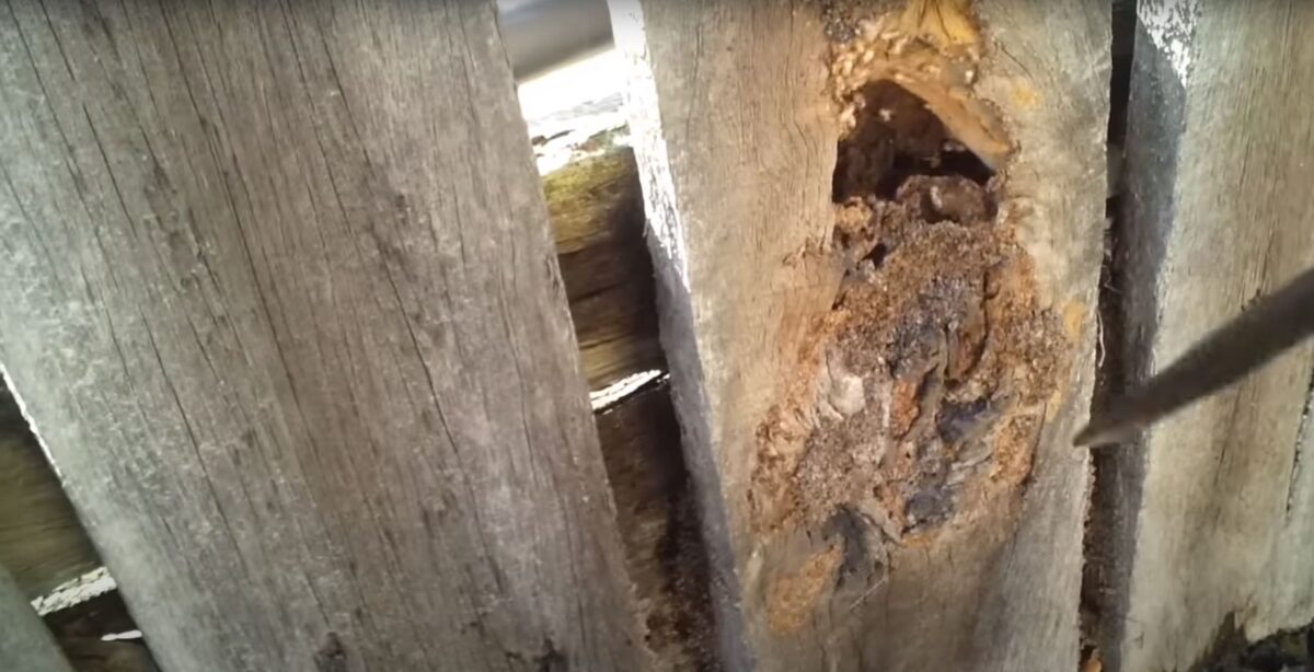 Common Fencing Issues & How to Fix Them - Pentagon